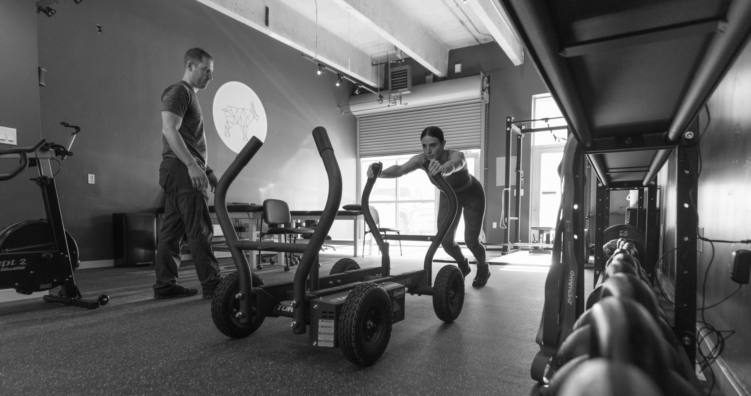 The Clinic | Goat Physical Therapy